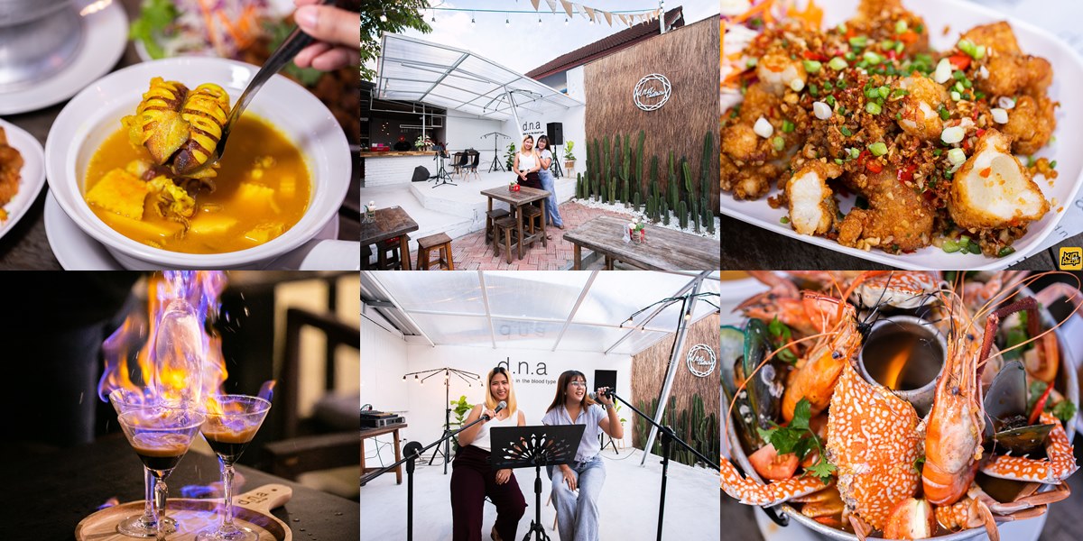 เติมความชิลล์เข้าสายเลือด แฮงค์เอาท์สุดฟินที่ D.N.A. chill&bar | กิน@หาดใหญ่